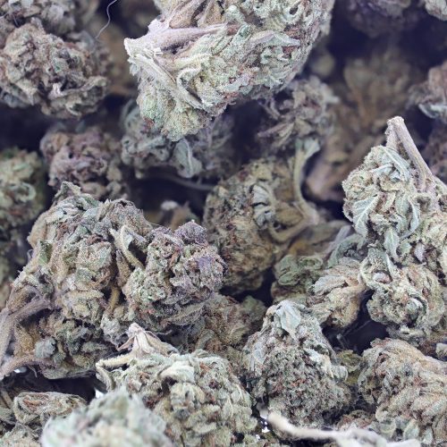 King Kush ($6/g) AA - Dank Delivery #1 Cannabis in Canada